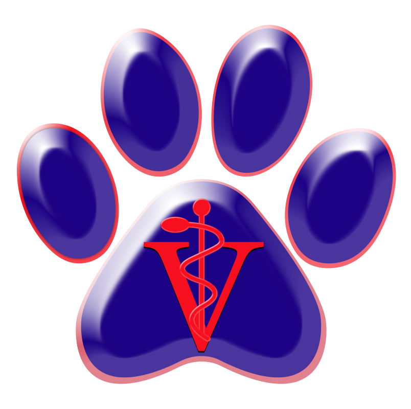 Veterinarian in Red Deer | Vets Near Me | Cedarwood Veterinary Hospital